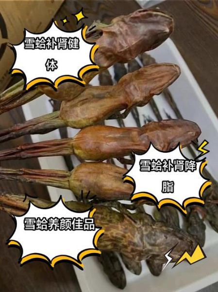 雪蛤的功效与作用_雪蛤怎么吃效果最好-第2张图片-山城妙识 雪蛤的功效与作用_雪蛤怎么吃效果最好-第2张图片-山城妙识