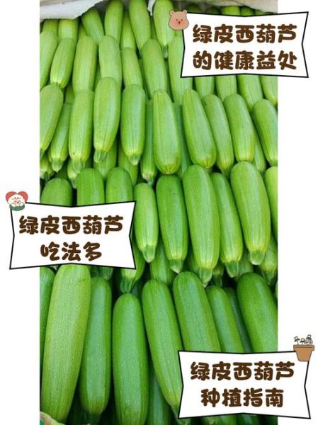 西葫芦要去皮吗_西葫芦皮能不能吃-第3张图片-山城妙识 西葫芦要去皮吗_西葫芦皮能不能吃-第3张图片-山城妙识