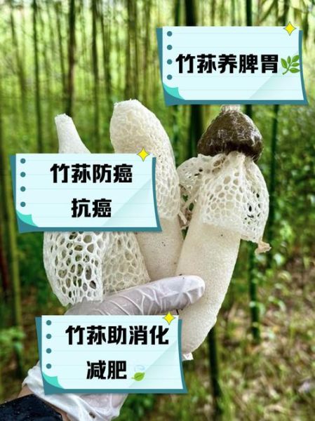 竹荪的功效与作用有哪些_竹荪的营养价值高吗-第3张图片-山城妙识 竹荪的功效与作用有哪些_竹荪的营养价值高吗-第3张图片-山城妙识