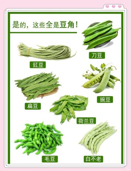 豇豆学名叫什么_豇豆和豆角的区别-第3张图片-山城妙识 豇豆学名叫什么_豇豆和豆角的区别-第3张图片-山城妙识