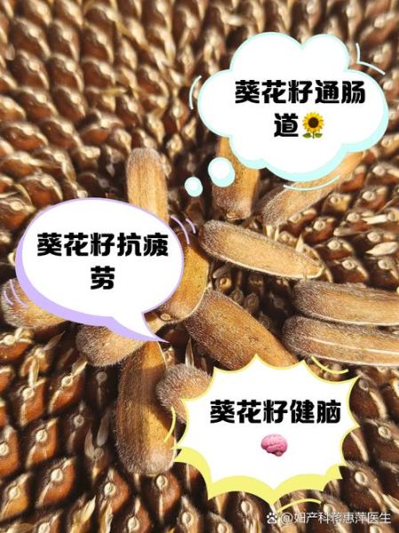 女人吃葵花籽的好处_女人吃葵花籽能减肥吗-第3张图片-山城妙识 女人吃葵花籽的好处_女人吃葵花籽能减肥吗-第3张图片-山城妙识