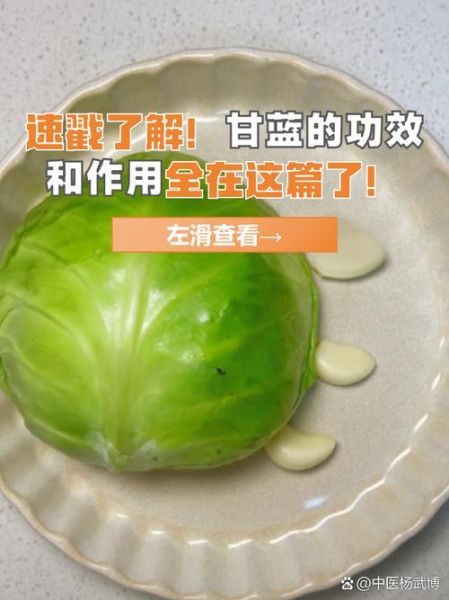 青甘蓝和卷心菜的区别_哪个营养价值更高-第1张图片-山城妙识 青甘蓝和卷心菜的区别_哪个营养价值更高-第1张图片-山城妙识