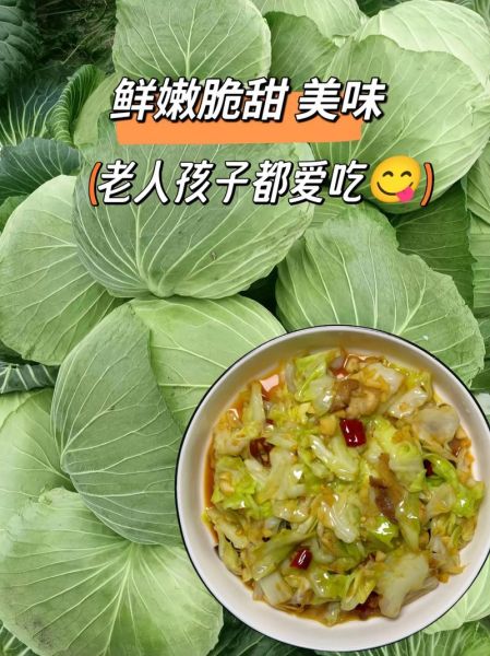 青甘蓝和卷心菜的区别_哪个营养价值更高-第3张图片-山城妙识 青甘蓝和卷心菜的区别_哪个营养价值更高-第3张图片-山城妙识