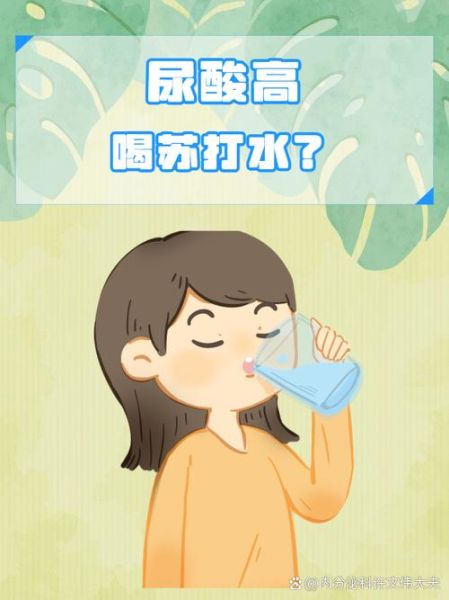 苏打水饮料可以降尿酸吗_痛风患者能喝苏打水吗-第3张图片-山城妙识 苏打水饮料可以降尿酸吗_痛风患者能喝苏打水吗-第3张图片-山城妙识
