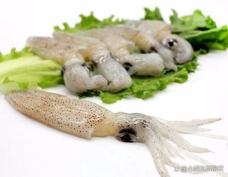 海兔怎么处理_海兔怎么清洗才干净-第3张图片-山城妙识 海兔怎么处理_海兔怎么清洗才干净-第3张图片-山城妙识
