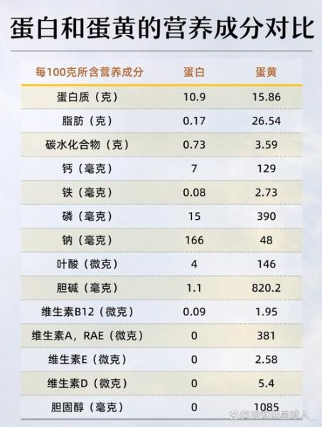 一个鸡蛋多少克蛋白质_健身一天吃几个鸡蛋-第1张图片-山城妙识 一个鸡蛋多少克蛋白质_健身一天吃几个鸡蛋-第1张图片-山城妙识