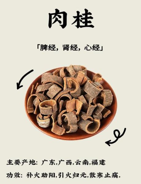 肉桂是什么_肉桂的功效与作用-第1张图片-山城妙识 肉桂是什么_肉桂的功效与作用-第1张图片-山城妙识