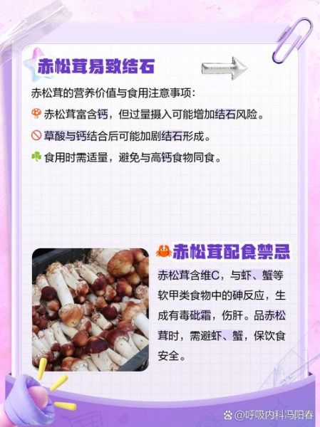 赤松茸怎么吃_赤松茸的做法大全-第3张图片-山城妙识 赤松茸怎么吃_赤松茸的做法大全-第3张图片-山城妙识