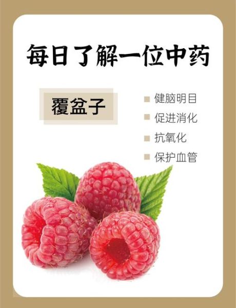 覆盆子一天吃几粒_覆盆子吃多了会怎样-第1张图片-山城妙识 覆盆子一天吃几粒_覆盆子吃多了会怎样-第1张图片-山城妙识