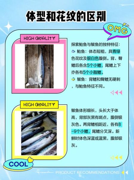 鲐鱼和鲅鱼的区别_怎么区分鲐鱼与鲅鱼-第2张图片-山城妙识 鲐鱼和鲅鱼的区别_怎么区分鲐鱼与鲅鱼-第2张图片-山城妙识