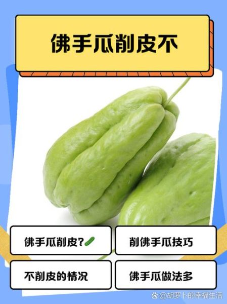 佛手瓜的籽可以吃吗_佛手瓜籽怎么吃-第3张图片-山城妙识 佛手瓜的籽可以吃吗_佛手瓜籽怎么吃-第3张图片-山城妙识