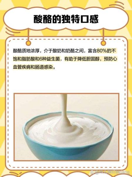 酸乳酪读音_酸乳酪怎么念-第1张图片-山城妙识 酸乳酪读音_酸乳酪怎么念-第1张图片-山城妙识