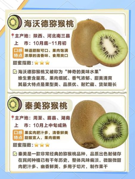 猕猴桃有什么好处_猕猴桃的营养价值-第3张图片-山城妙识 猕猴桃有什么好处_猕猴桃的营养价值-第3张图片-山城妙识