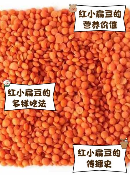 红小扁豆怎么做好吃_红小扁豆的营养价值-第1张图片-山城妙识