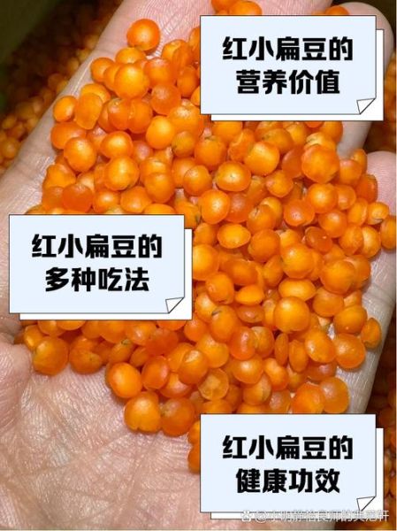 红小扁豆怎么做好吃_红小扁豆的营养价值-第2张图片-山城妙识