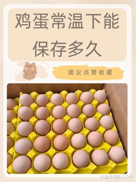 鸡蛋常温能放多久_鸡蛋冷藏保质期多久-第1张图片-山城妙识