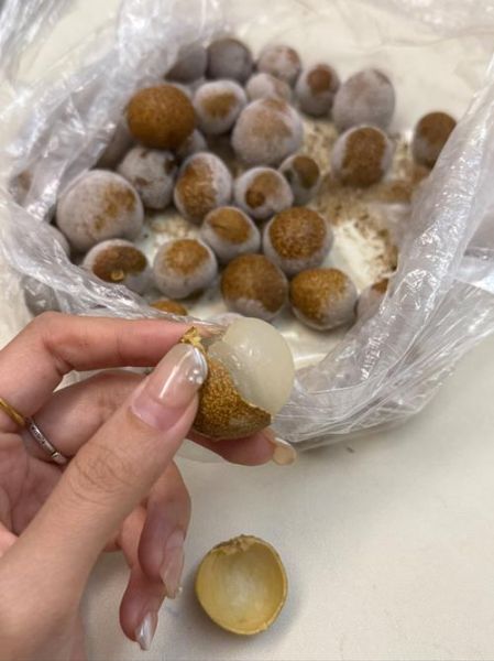 龙眼吃多了会上火吗_龙眼一天吃多少合适-第1张图片-山城妙识 龙眼吃多了会上火吗_龙眼一天吃多少合适-第1张图片-山城妙识