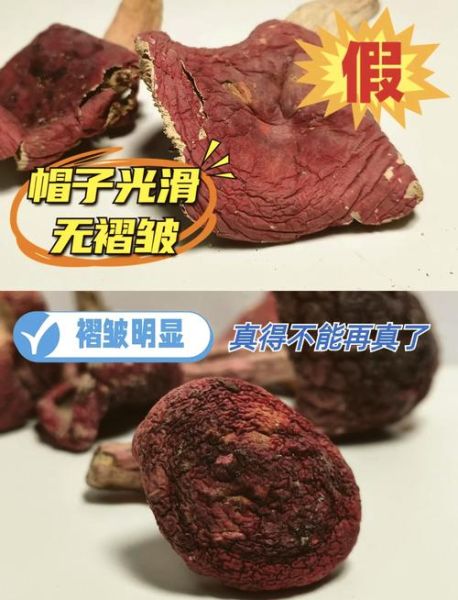 红菇和毒红菇的区别_如何一眼分辨真假红菇-第2张图片-山城妙识 红菇和毒红菇的区别_如何一眼分辨真假红菇-第2张图片-山城妙识