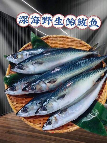 鲅鱼刺多吗_鲅鱼适合宝宝吃吗-第3张图片-山城妙识 鲅鱼刺多吗_鲅鱼适合宝宝吃吗-第3张图片-山城妙识