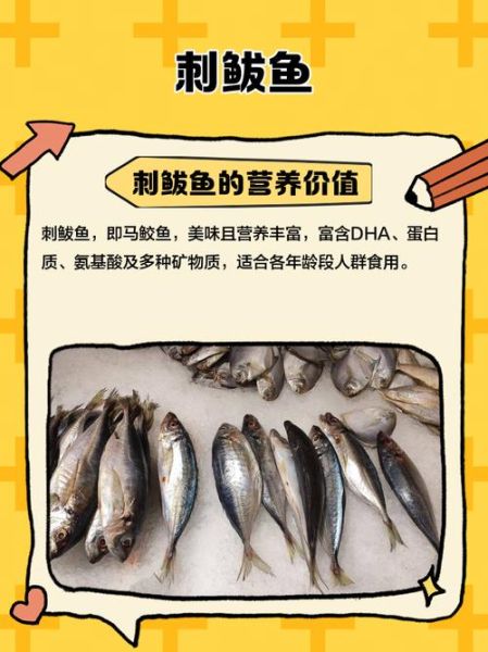 鲅鱼刺多吗_鲅鱼适合宝宝吃吗-第1张图片-山城妙识 鲅鱼刺多吗_鲅鱼适合宝宝吃吗-第1张图片-山城妙识