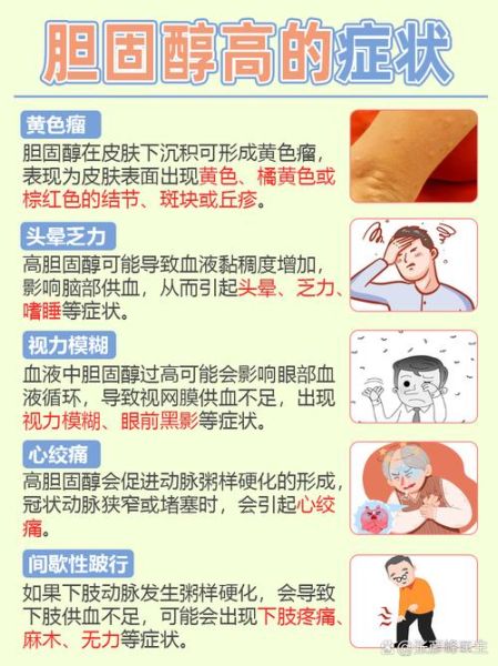 胆固醇高是什么原因_胆固醇高怎么治疗-第1张图片-山城妙识 胆固醇高是什么原因_胆固醇高怎么治疗-第1张图片-山城妙识