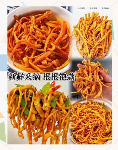 鲜虫草花不焯水会不会中毒_鲜虫草花中毒症状-第2张图片-山城妙识 鲜虫草花不焯水会不会中毒_鲜虫草花中毒症状-第2张图片-山城妙识