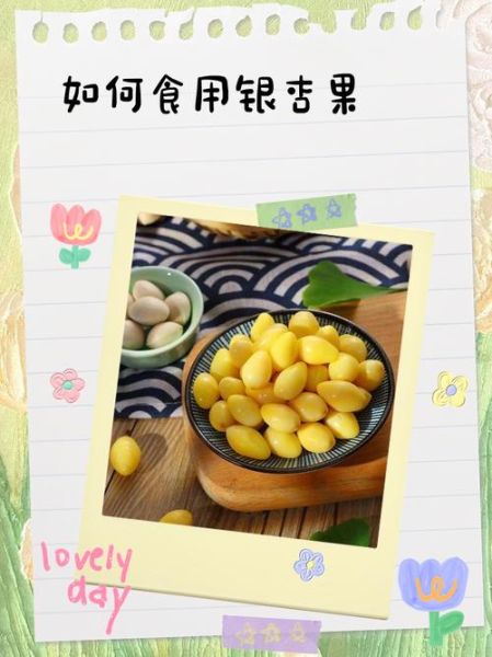 银杏果图片_如何正确食用-第3张图片-山城妙识 银杏果图片_如何正确食用-第3张图片-山城妙识