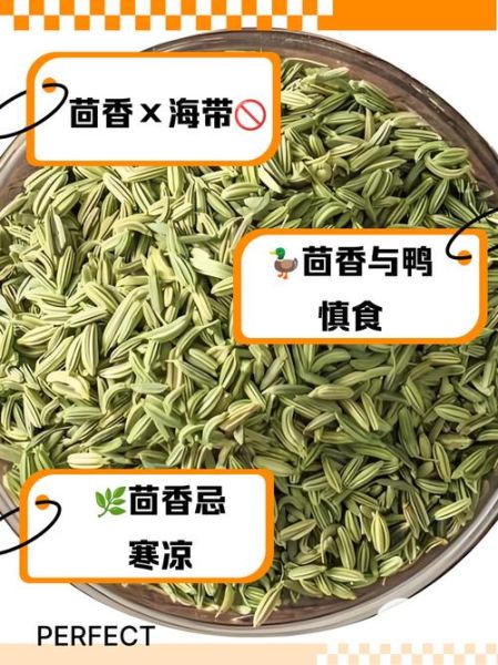 茴香不能和什么一起吃_茴香相克食物有哪些-第2张图片-山城妙识 茴香不能和什么一起吃_茴香相克食物有哪些-第2张图片-山城妙识