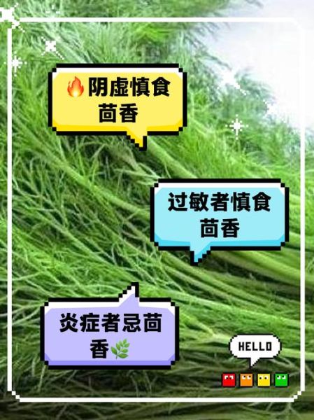 茴香不能和什么一起吃_茴香相克食物有哪些-第3张图片-山城妙识 茴香不能和什么一起吃_茴香相克食物有哪些-第3张图片-山城妙识