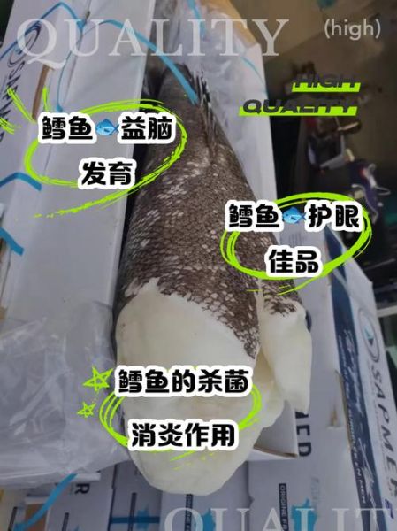 鳕鱼的营养价值及功效与作用_鳕鱼适合什么人吃-第2张图片-山城妙识