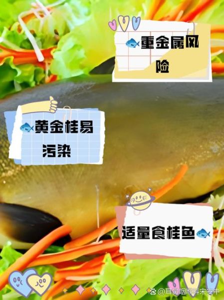 冷水黄金桂鱼的营养价值_冷水黄金桂鱼适合什么人吃-第1张图片-山城妙识 冷水黄金桂鱼的营养价值_冷水黄金桂鱼适合什么人吃-第1张图片-山城妙识