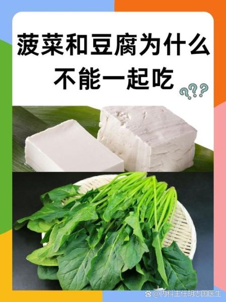 菠菜和豆腐能一起吃吗_云南白药吃多了什么症状-第1张图片-山城妙识 菠菜和豆腐能一起吃吗_云南白药吃多了什么症状-第1张图片-山城妙识