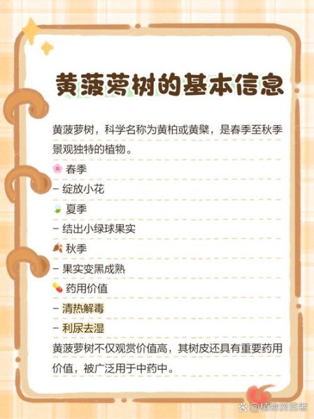 黄菠萝树是什么树_黄菠萝树怎么养-第1张图片-山城妙识