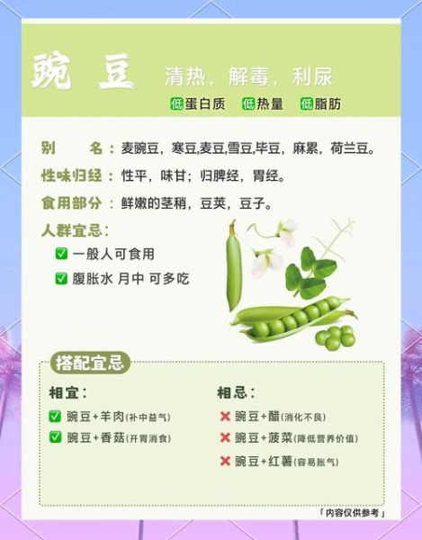 雪豆的功效与作用_雪豆的禁忌人群有哪些-第1张图片-山城妙识 雪豆的功效与作用_雪豆的禁忌人群有哪些-第1张图片-山城妙识