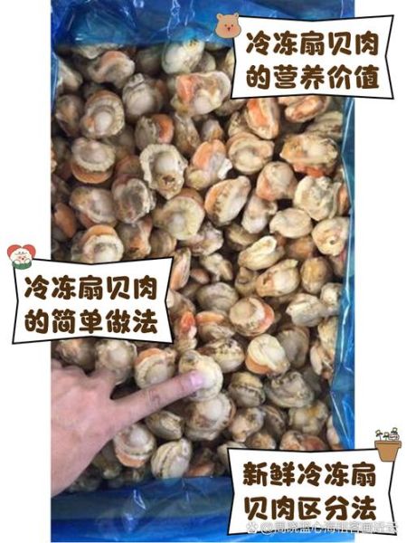 无壳冻扇贝肉怎么做好吃_家常做法步骤-第2张图片-山城妙识 无壳冻扇贝肉怎么做好吃_家常做法步骤-第2张图片-山城妙识