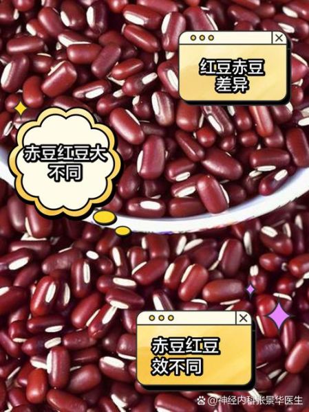 赤小豆是不是红豆_赤小豆与红豆区别-第2张图片-山城妙识 赤小豆是不是红豆_赤小豆与红豆区别-第2张图片-山城妙识