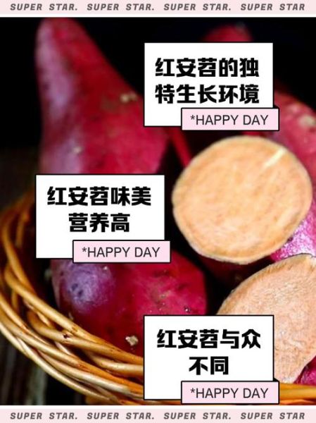 苕怎么读_苕字含义与用法-第2张图片-山城妙识 苕怎么读_苕字含义与用法-第2张图片-山城妙识
