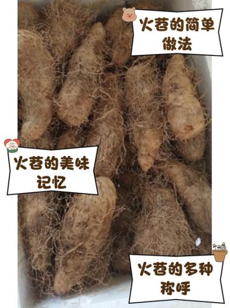 苕怎么读_苕字含义与用法-第1张图片-山城妙识 苕怎么读_苕字含义与用法-第1张图片-山城妙识