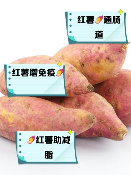 苕怎么读_苕字含义与用法-第3张图片-山城妙识 苕怎么读_苕字含义与用法-第3张图片-山城妙识