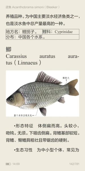 鲫鱼读音是什么_鲫鱼怎么读才标准-第1张图片-山城妙识 鲫鱼读音是什么_鲫鱼怎么读才标准-第1张图片-山城妙识