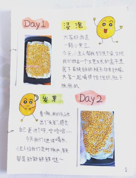 黄豆芽怎么种_四年级观察日记怎么写-第2张图片-山城妙识 黄豆芽怎么种_四年级观察日记怎么写-第2张图片-山城妙识