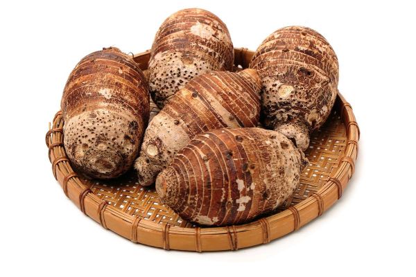 芋艿是什么_芋艿和芋头区别-第1张图片-山城妙识 芋艿是什么_芋艿和芋头区别-第1张图片-山城妙识