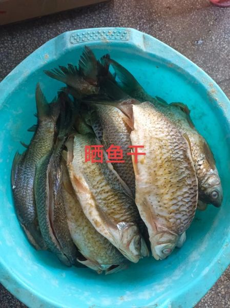 鱼干怎么晒_鱼干制作步骤-第3张图片-山城妙识 鱼干怎么晒_鱼干制作步骤-第3张图片-山城妙识