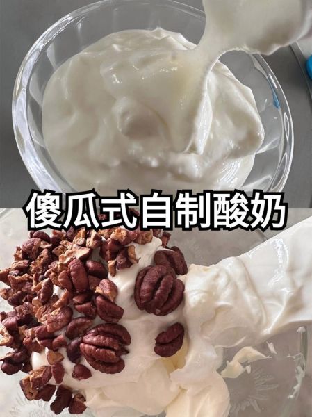 酸奶机自制酸奶怎么做_自制酸奶用什么菌粉-第2张图片-山城妙识 酸奶机自制酸奶怎么做_自制酸奶用什么菌粉-第2张图片-山城妙识