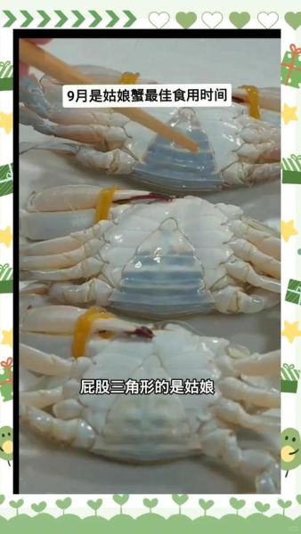 螃蟹哪种好_如何挑选最肥美的蟹-第3张图片-山城妙识 螃蟹哪种好_如何挑选最肥美的蟹-第3张图片-山城妙识