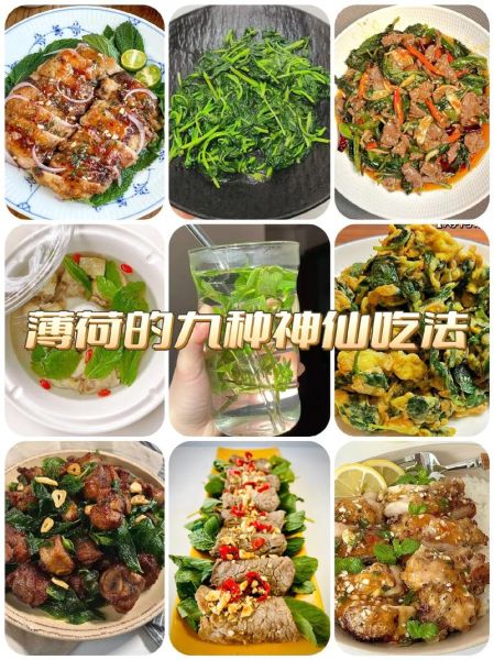 薄荷叶怎么吃治咳嗽_薄荷叶治咳嗽的做法-第1张图片-山城妙识 薄荷叶怎么吃治咳嗽_薄荷叶治咳嗽的做法-第1张图片-山城妙识