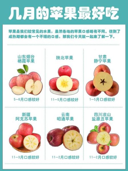 苹果怎么吃最营养_苹果的正确吃法大全-第3张图片-山城妙识 苹果怎么吃最营养_苹果的正确吃法大全-第3张图片-山城妙识