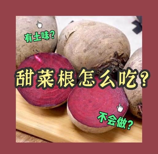 甜菜根怎么做好吃_甜菜根的做法大全-第1张图片-山城妙识 甜菜根怎么做好吃_甜菜根的做法大全-第1张图片-山城妙识