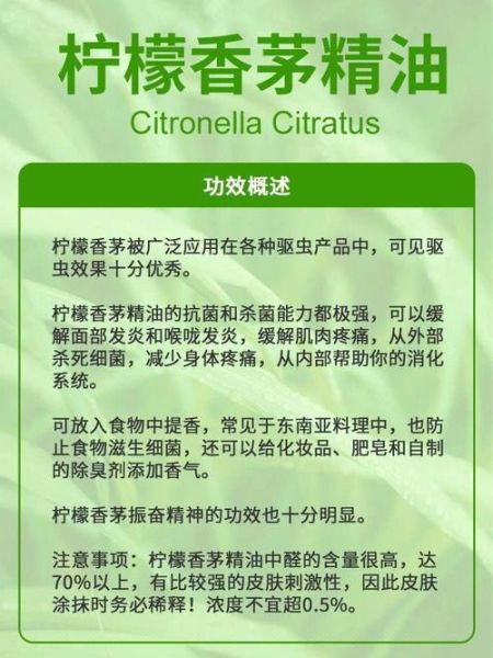 柠檬香茅草怎么种_柠檬香茅草的功效与作用-第2张图片-山城妙识 柠檬香茅草怎么种_柠檬香茅草的功效与作用-第2张图片-山城妙识