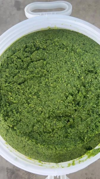 韭菜花酱的危害_长期吃会致癌吗-第1张图片-山城妙识